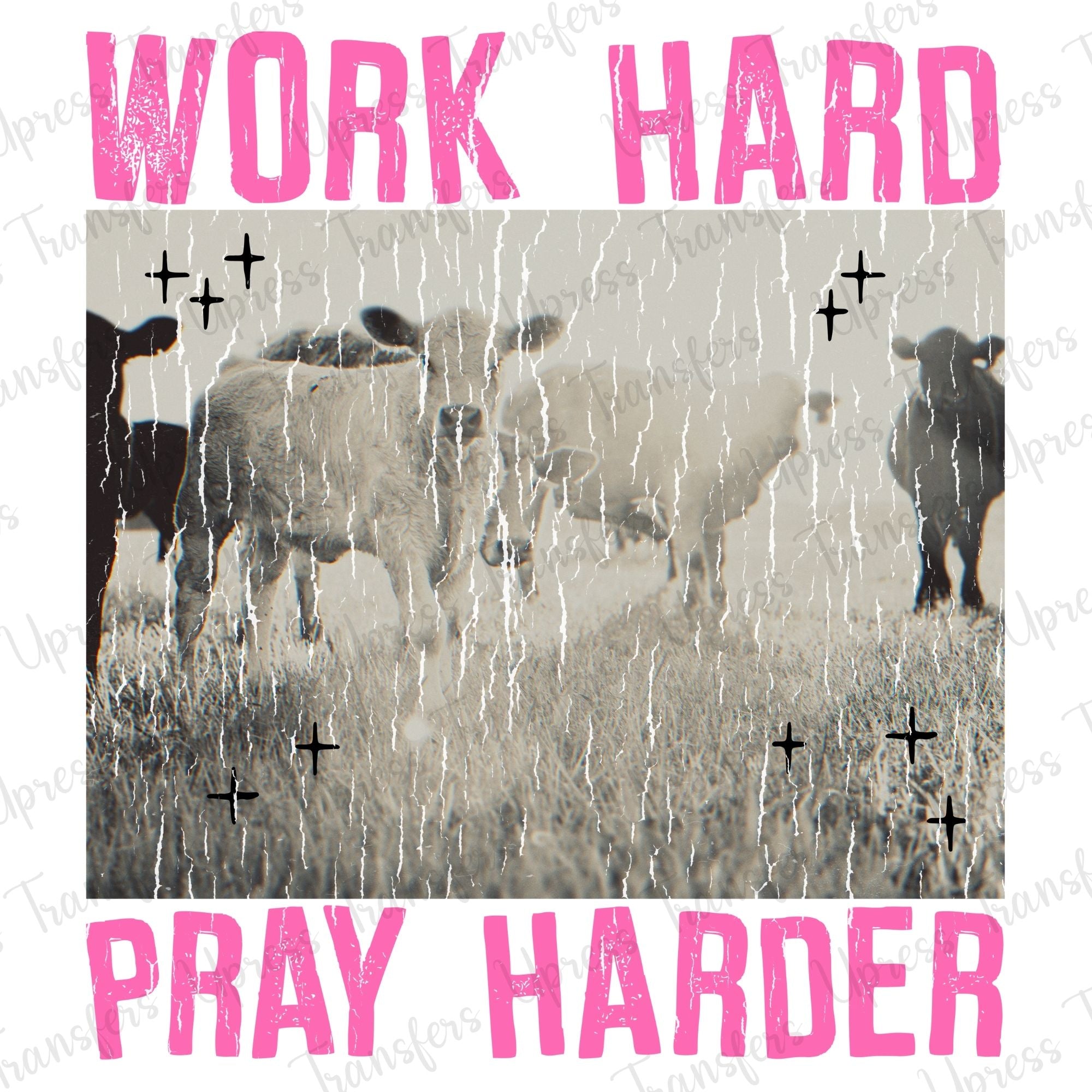 Pray Harder – U Press Transfers